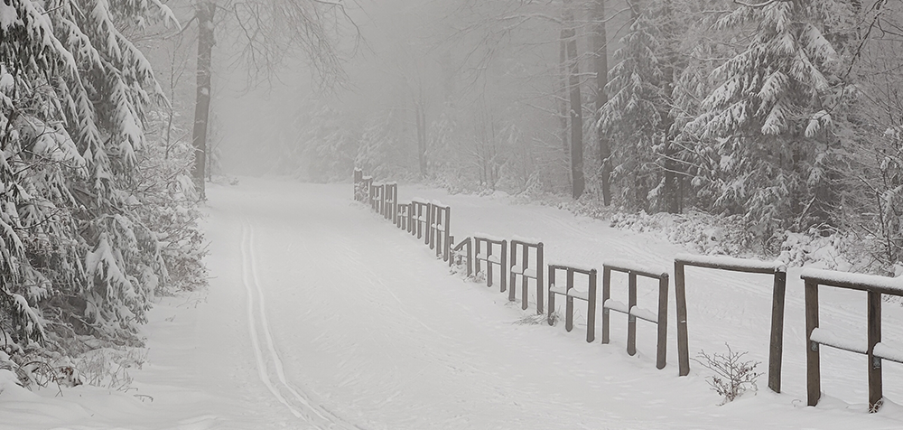 Nächste 7 Tage: Regelmäßig Schnee, auch im Tiefland! - Unwetter24.net