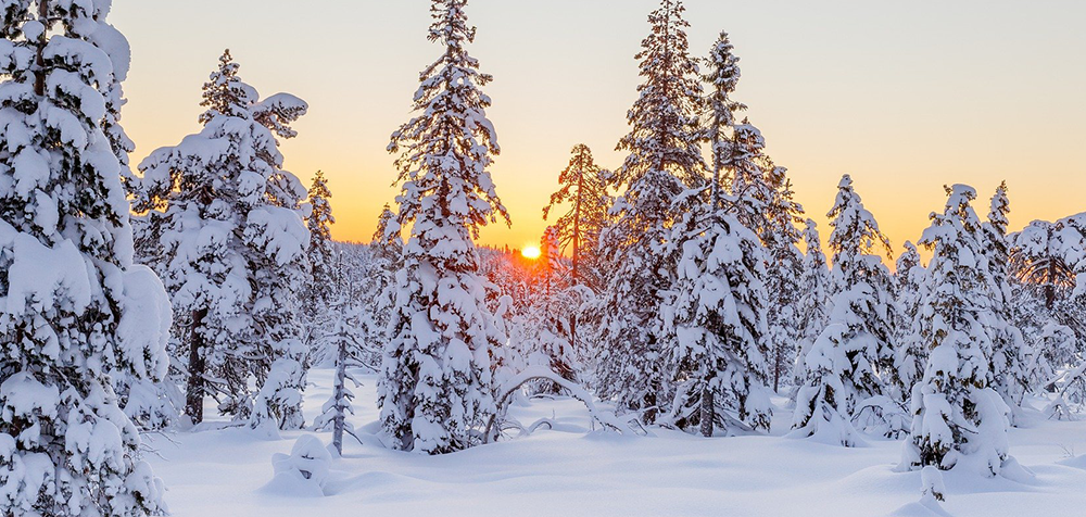 Verbreitet Schnee: Kommt bald der Tieflandwinter? - Unwetter24.net