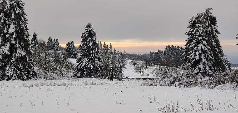 Ende Januar: Mehr Tage mit Schneefällen! - Unwetter24.net