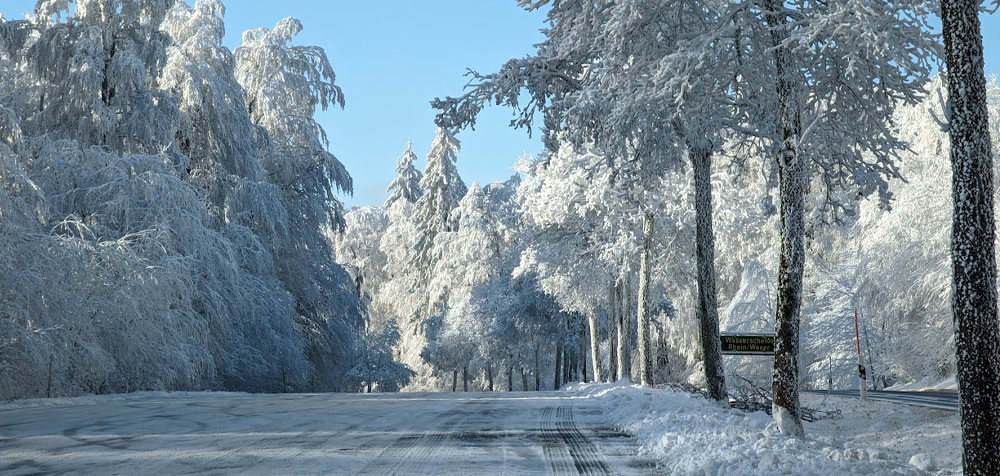 Mildwinter: Wie weit sind Schnee und Frost entfernt?