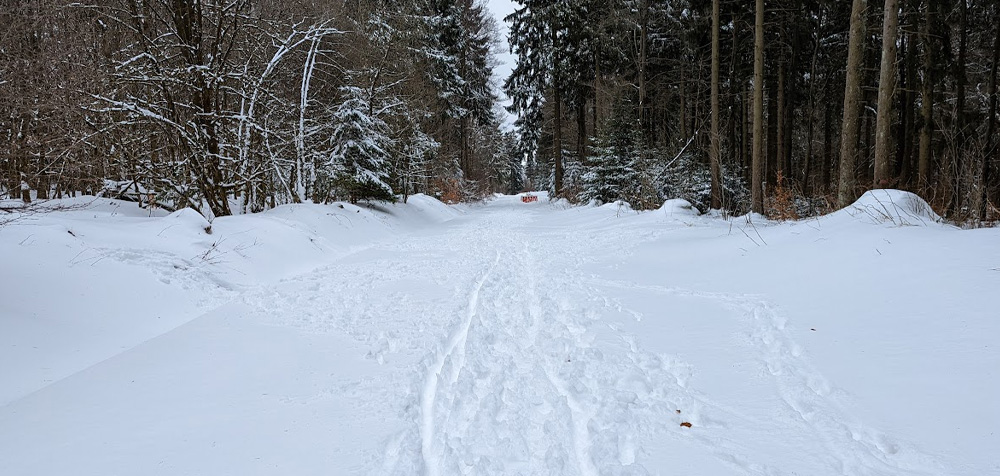 Mehr Schnee ab Monatsmitte zu erwarten - Unwetter24.net