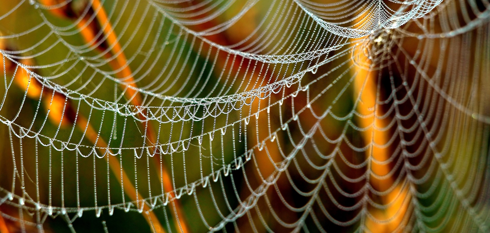 Nach Dauerregen: Altweibersommer mit bis zu 27 Grad - Unwetter24.net